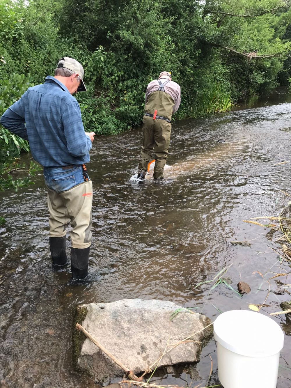Find out all about Severn Rivers Trust