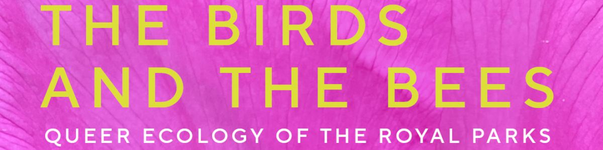 Queer Ecology Walk Volunteer