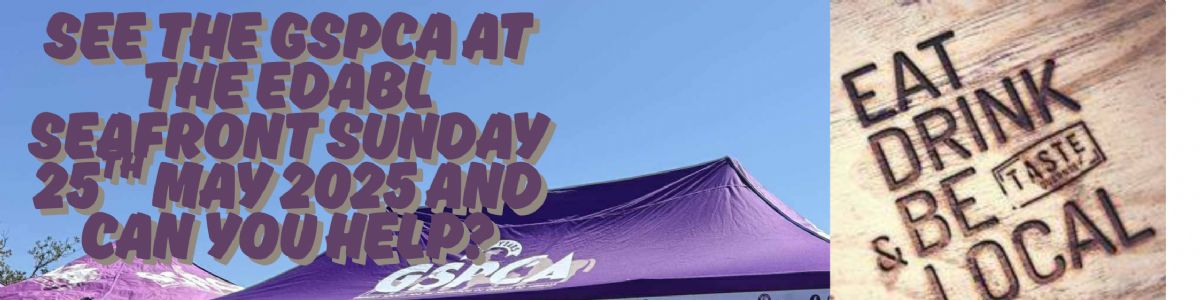 Can you help on the GSPCA stall at this weekends EDABL Seafront Sunday