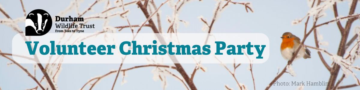 Volunteer Festive Get Together