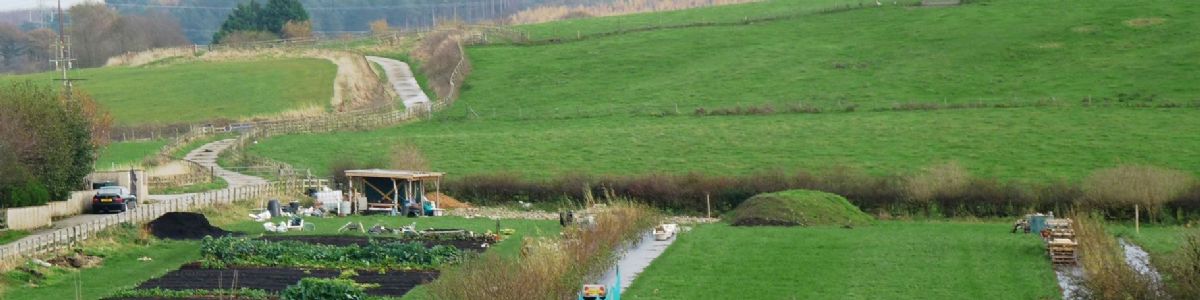 Winter maintenance coppicing of trees, fruit bush pruning.