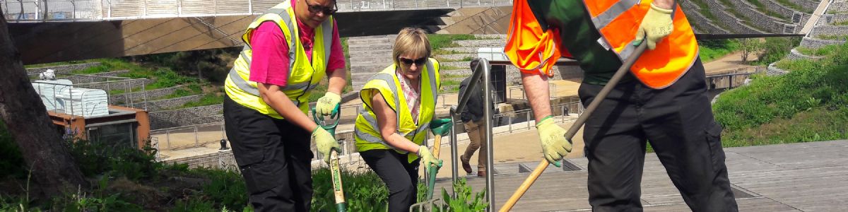 Sighted Guiding Training 'My Guide' Level 1