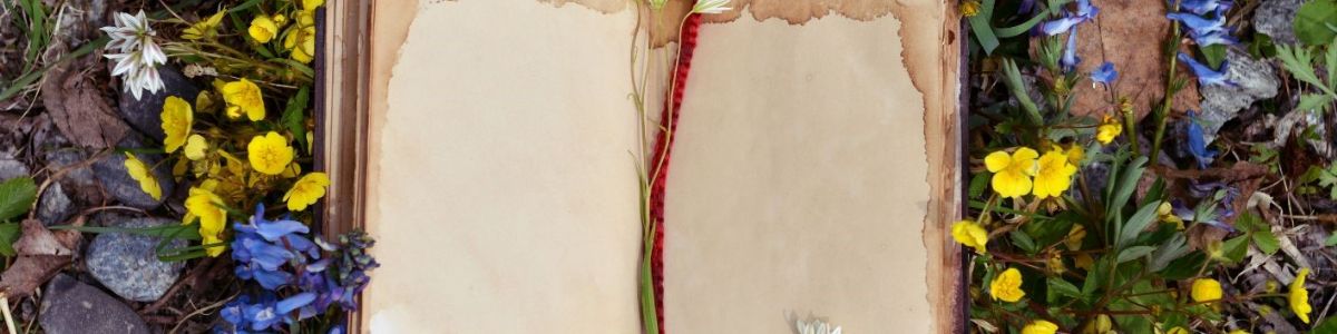 West Cumbria Rivers Trust- Learning and Engagement Volunteer- Whitehaven