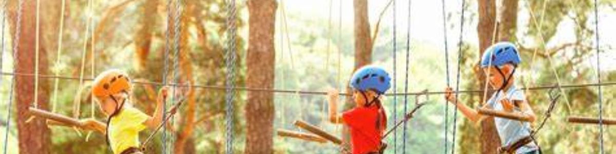 Grant applications required for the build of a new high ropes course.