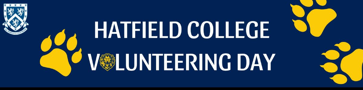 Stray Aid Cat Cuddling/Dog Walking (Hatfield Volunteering Day)