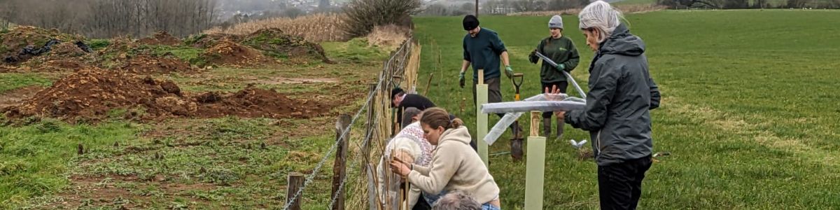 Mapperton Social Rewilding Volunteers (MSRV)