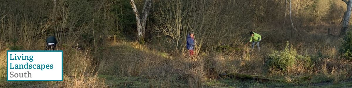 Tuesday 24th June - Bishop Middleham Quarry - Footpaths