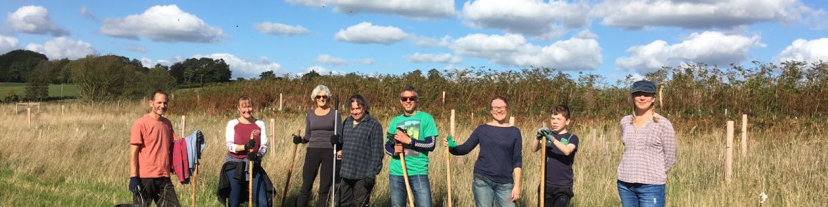 Saturday 24th August - tree care day at Hazeland