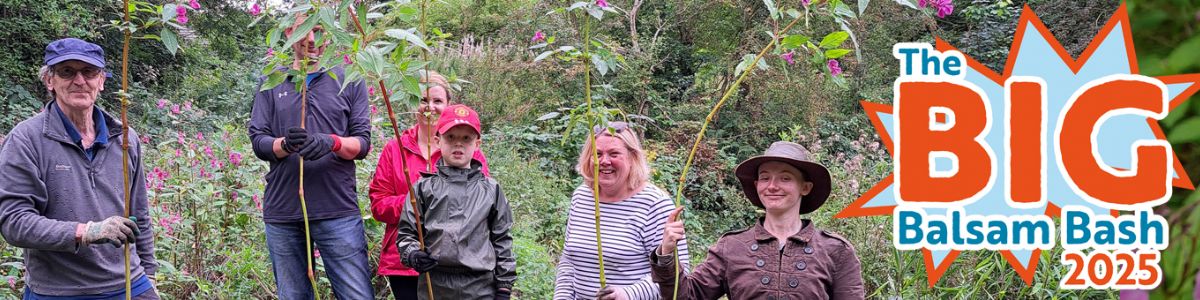 Big Balsam Bash Weekend: Sat 12 July and Sun 13th July, various venues