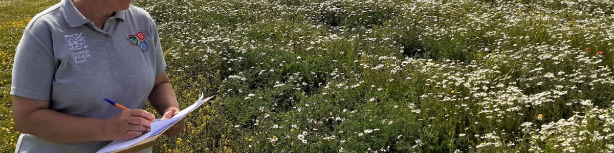 Ayrshire Nectar Network Pollinator monitoring