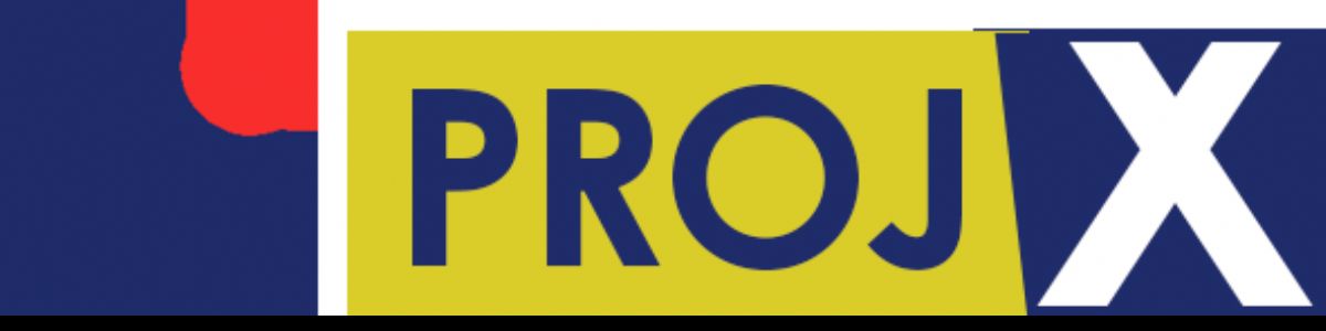 Centre for Leadership Performance-ProjX Volunteer- West Cumbria