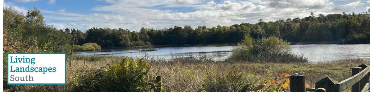 Wednesday 22nd January - Low Barns - Woodland maintenance