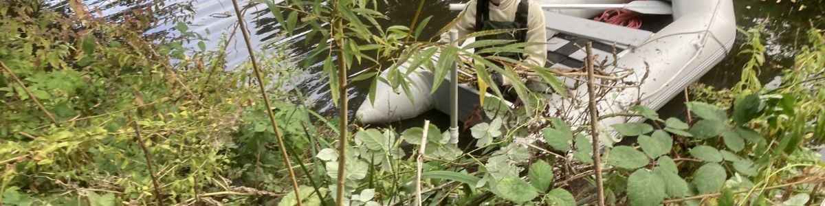 Thames21 Bramble clearing and backwater maintenance ! :)