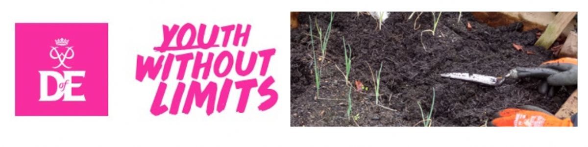 DofE Bronze Award Volunteering (14-17yrs)