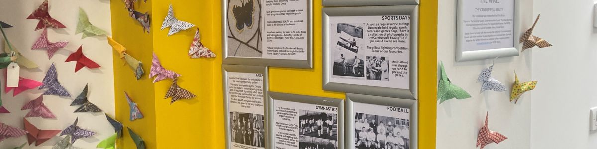 Voluntary Gift Shop assistant