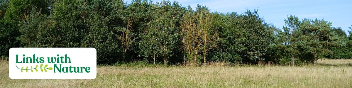 Saturday 25 January - Flint Mill - Tree Planting.