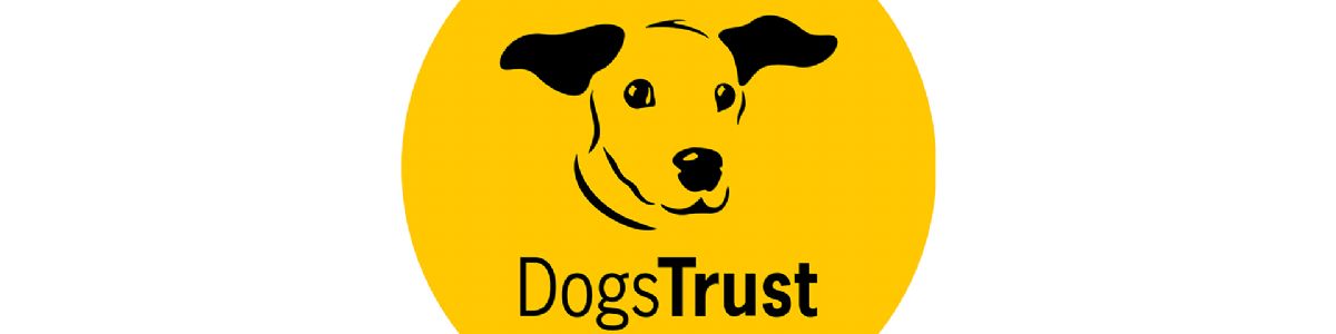 Dogs Trust Freedom Project Foster Carer. We are looking for Foster ...
