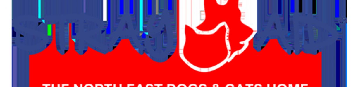 Stray Aid Dog Walking Volunteer