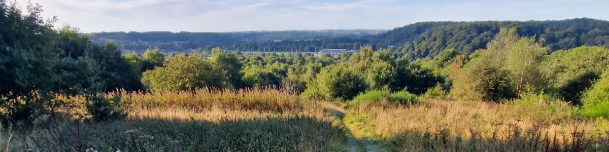 Durham Peninsula Litter-pick 24th March