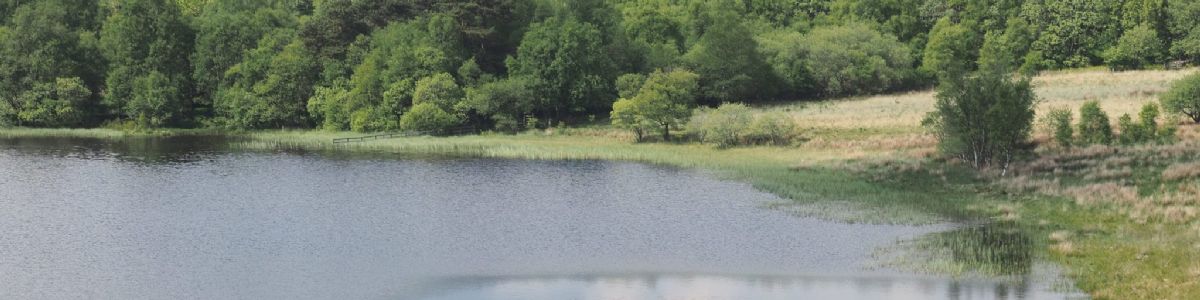 Conservation volunteer - South of Scotland